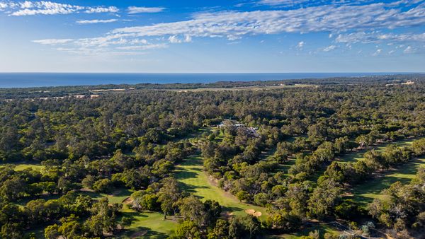 Discover Our Club History